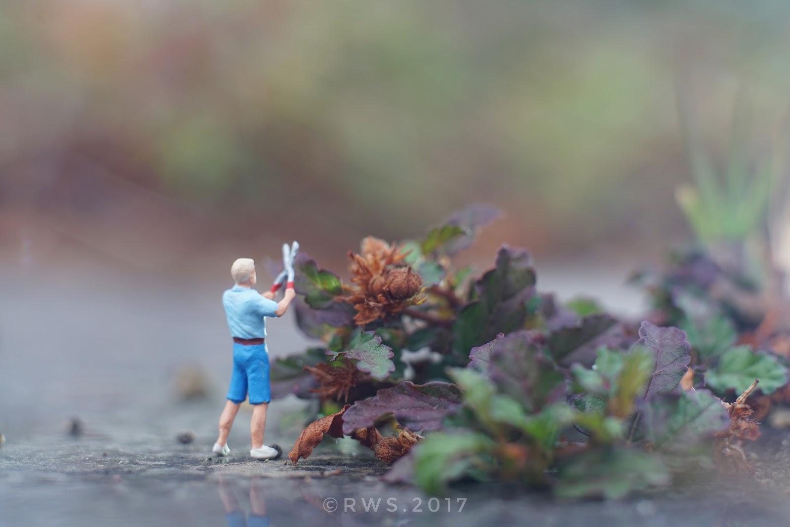 Fotografi Makro Dengan Menggunakan Miniatur - Miniatur Fotografi