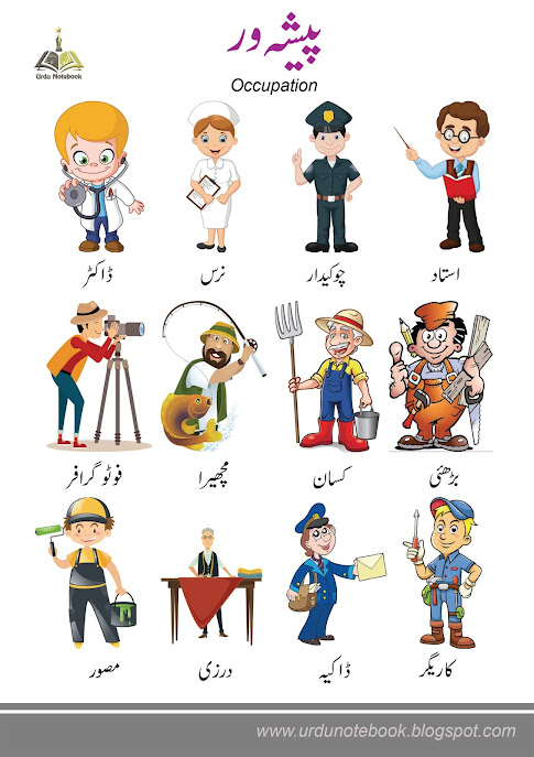 urdunotebook: Occupation