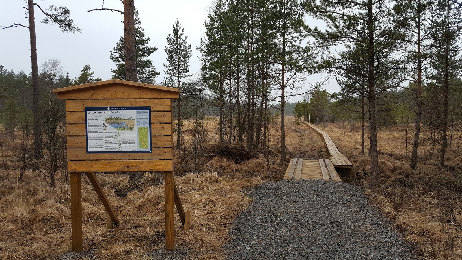 Cesar and The Woods: Cesar's Guide to The Ed Loop