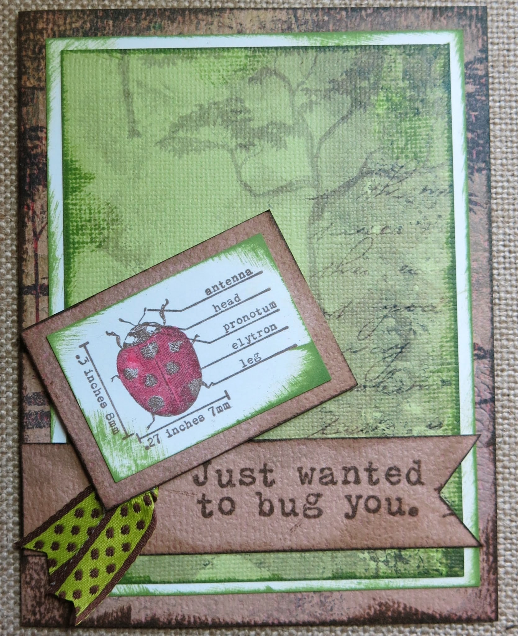 Masculine Inspirations in Paper & Crafts: Four Trees Cards from 12 x 12 ...