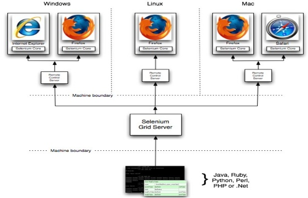 Nodes are the selenium instancesthat will execute the tests. There can ...