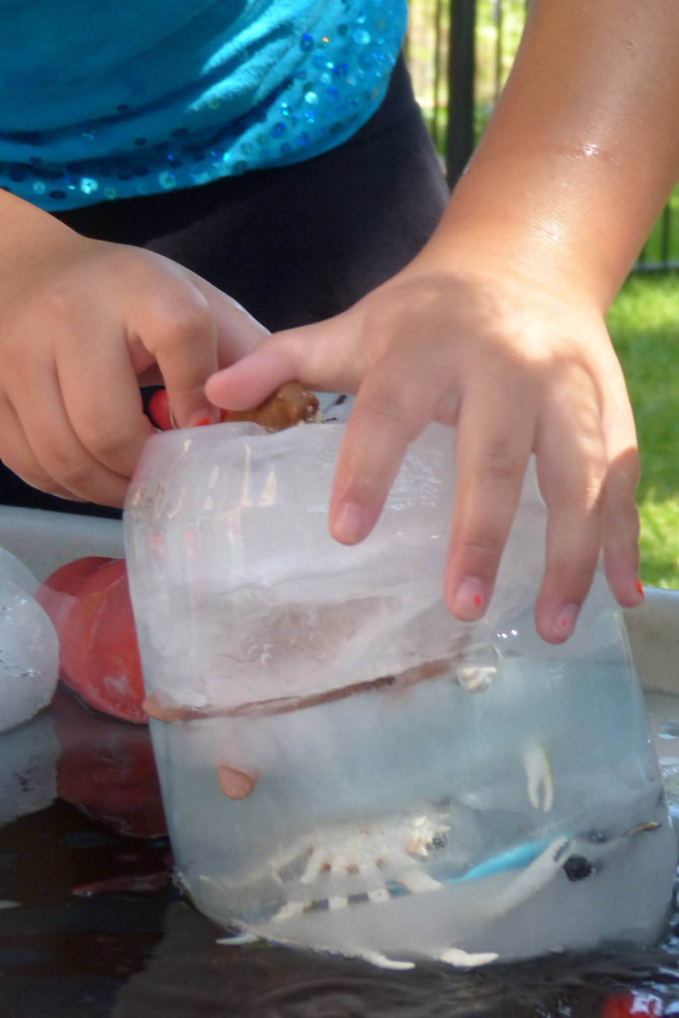 Paula's Primary Classroom: Everything you need to know about the letter Ii