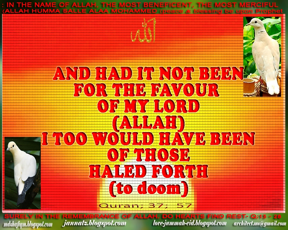 JANNATs for MUSLIMs - BELIEVERs: JANNATs for MUSLIMs : BELIEVERs