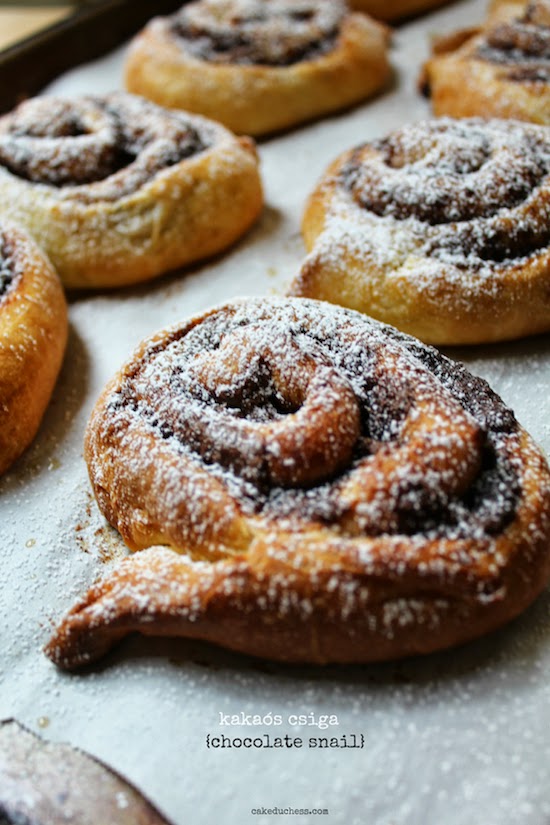 Foodwanderings: Baking with Heritage: Kakaós Csiga {Chocolate Snails ...