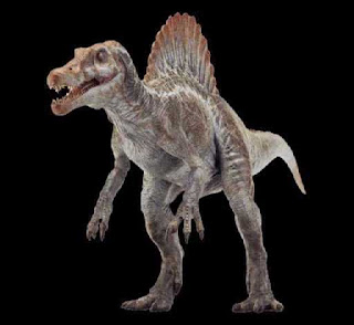 Info Dinosaurus: Spinosaurus aegyptiacus