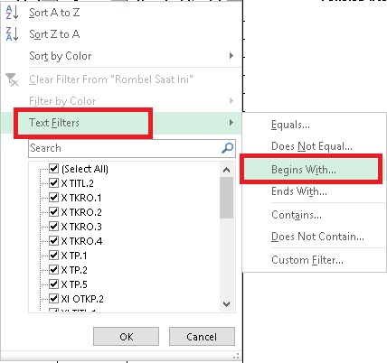 Apa Fungsi Filter Data di Excel? Cara Menggunakannya? - Sinau-Thewe.com