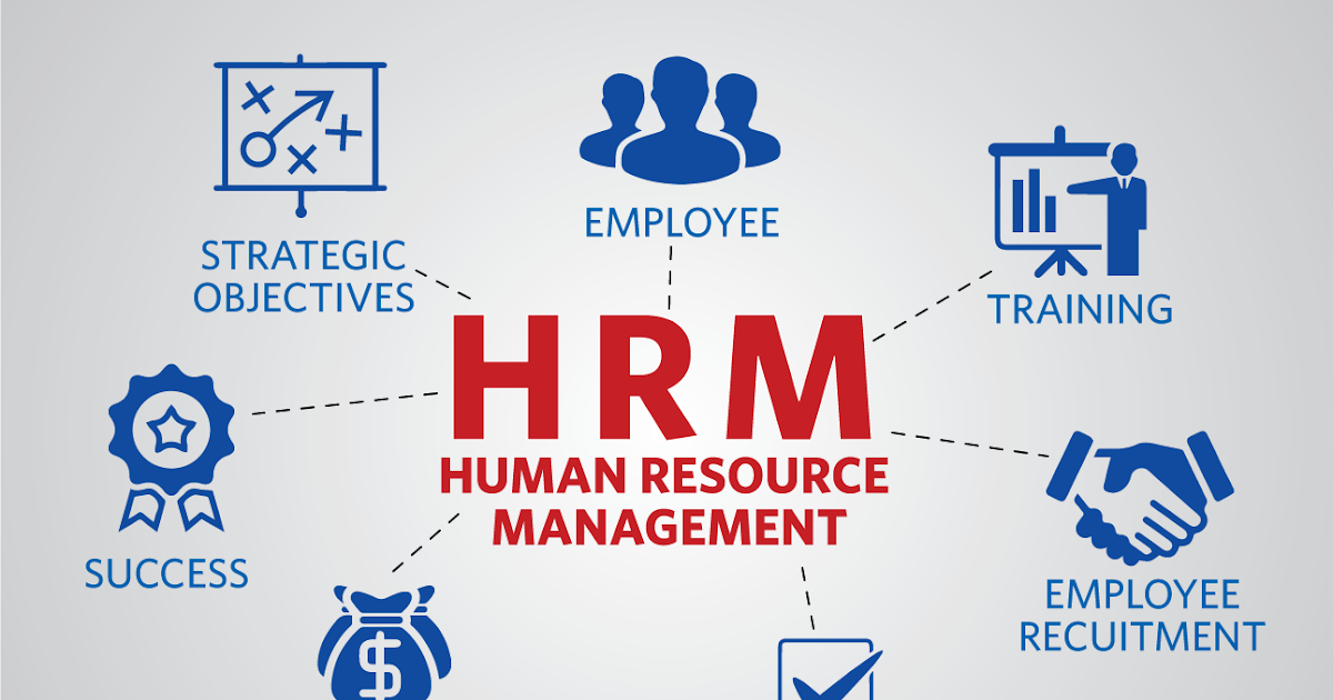 Wat houdt mijn studie HRM eigenlijk in?