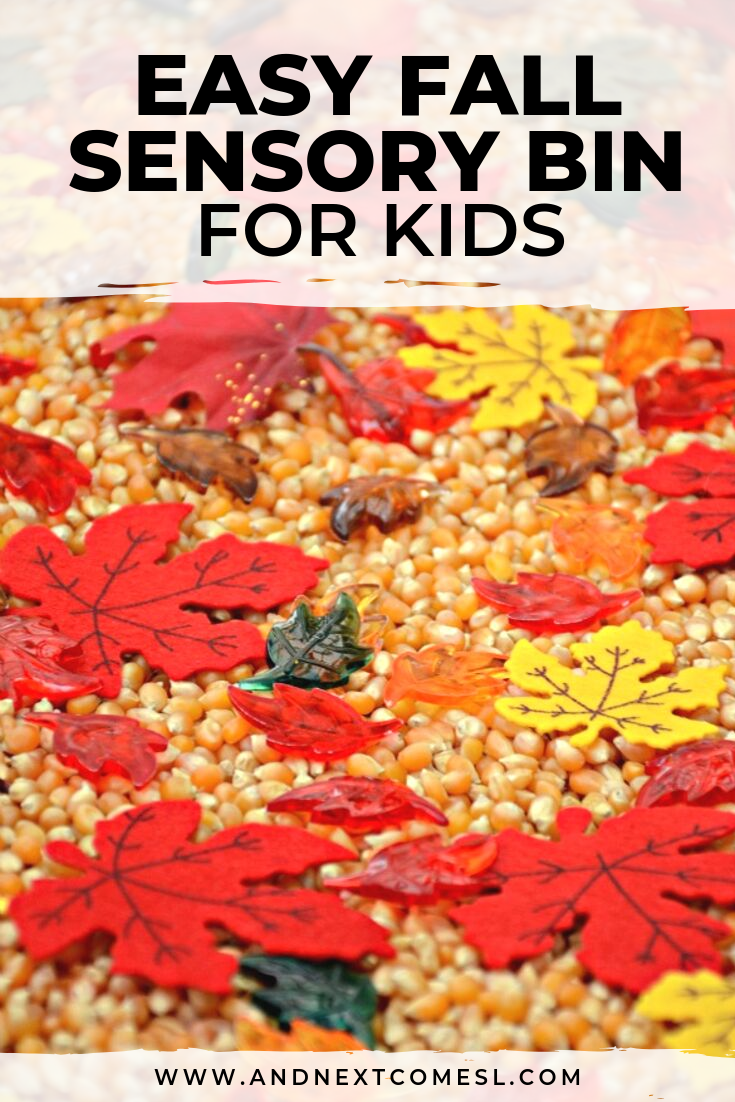 Easy Fall Sensory Bin | And Next Comes L - Hyperlexia Resources