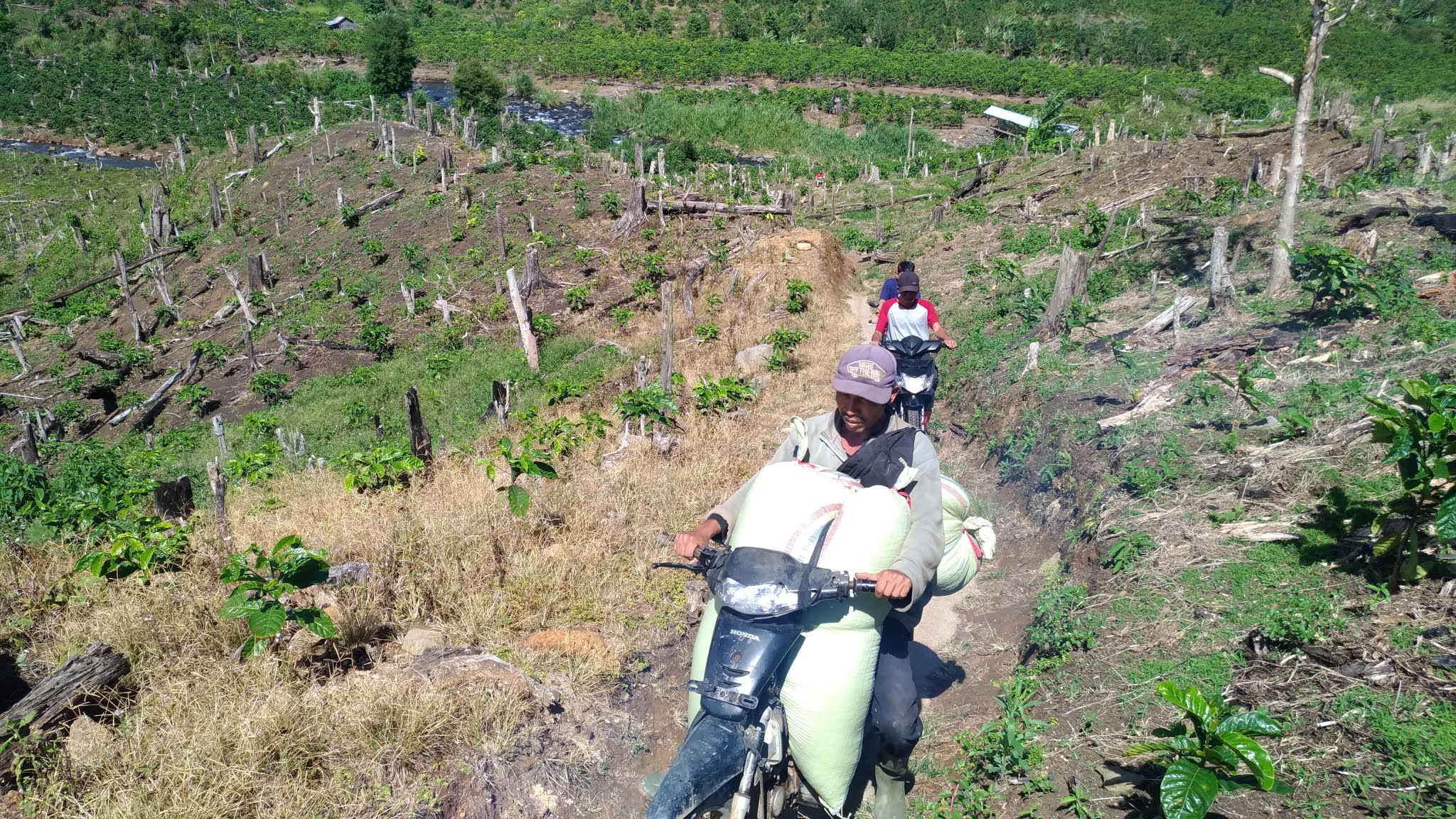 Serunai: WISATA MERANGIN TERBARU, LENGKAP DAN AKURAT (GEOPARK MERANGIN)