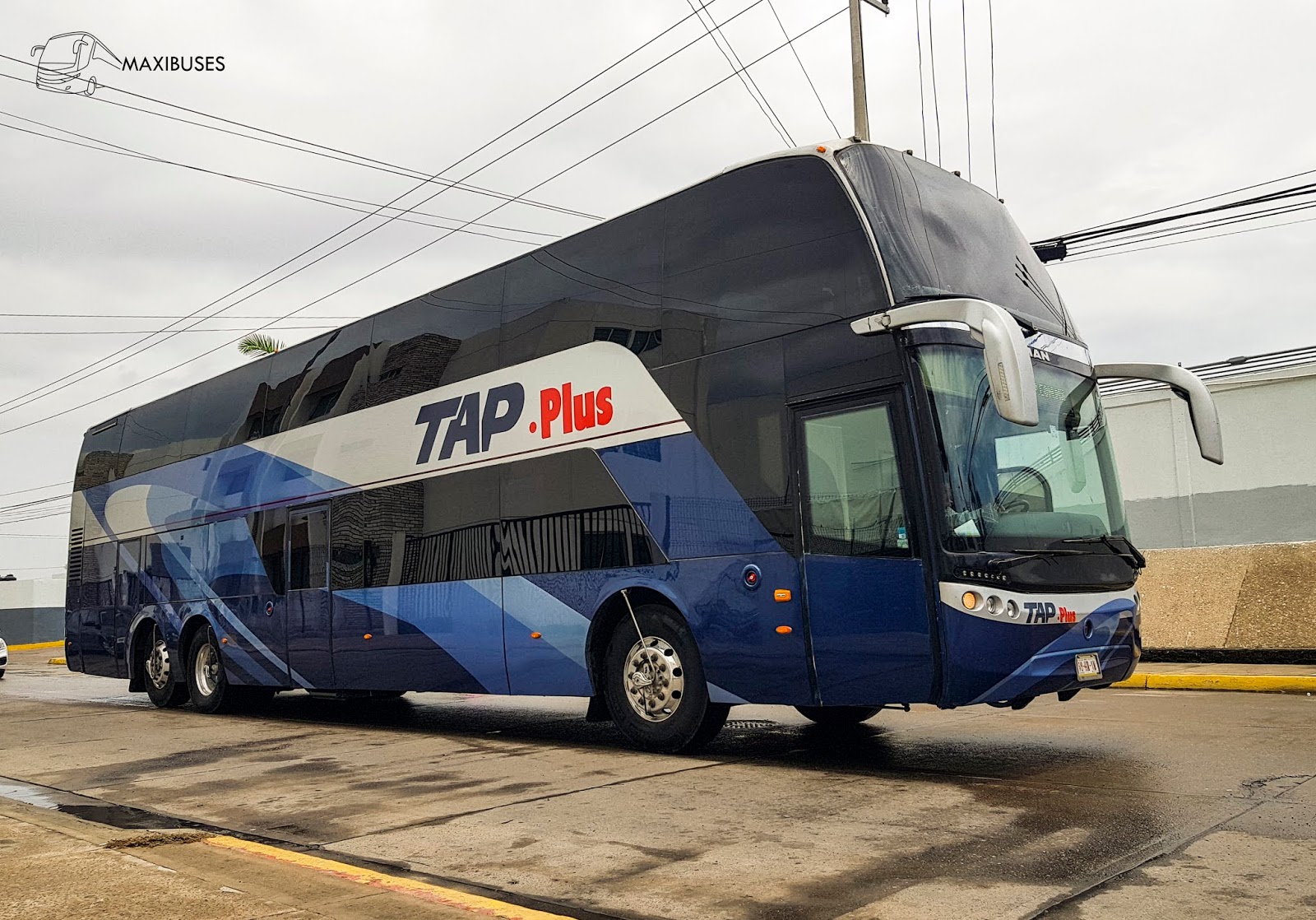 MAXIBUSES: TRANSPORTES Y AUTOBUSES DEL PACÍFICO, PLUS (TAP)