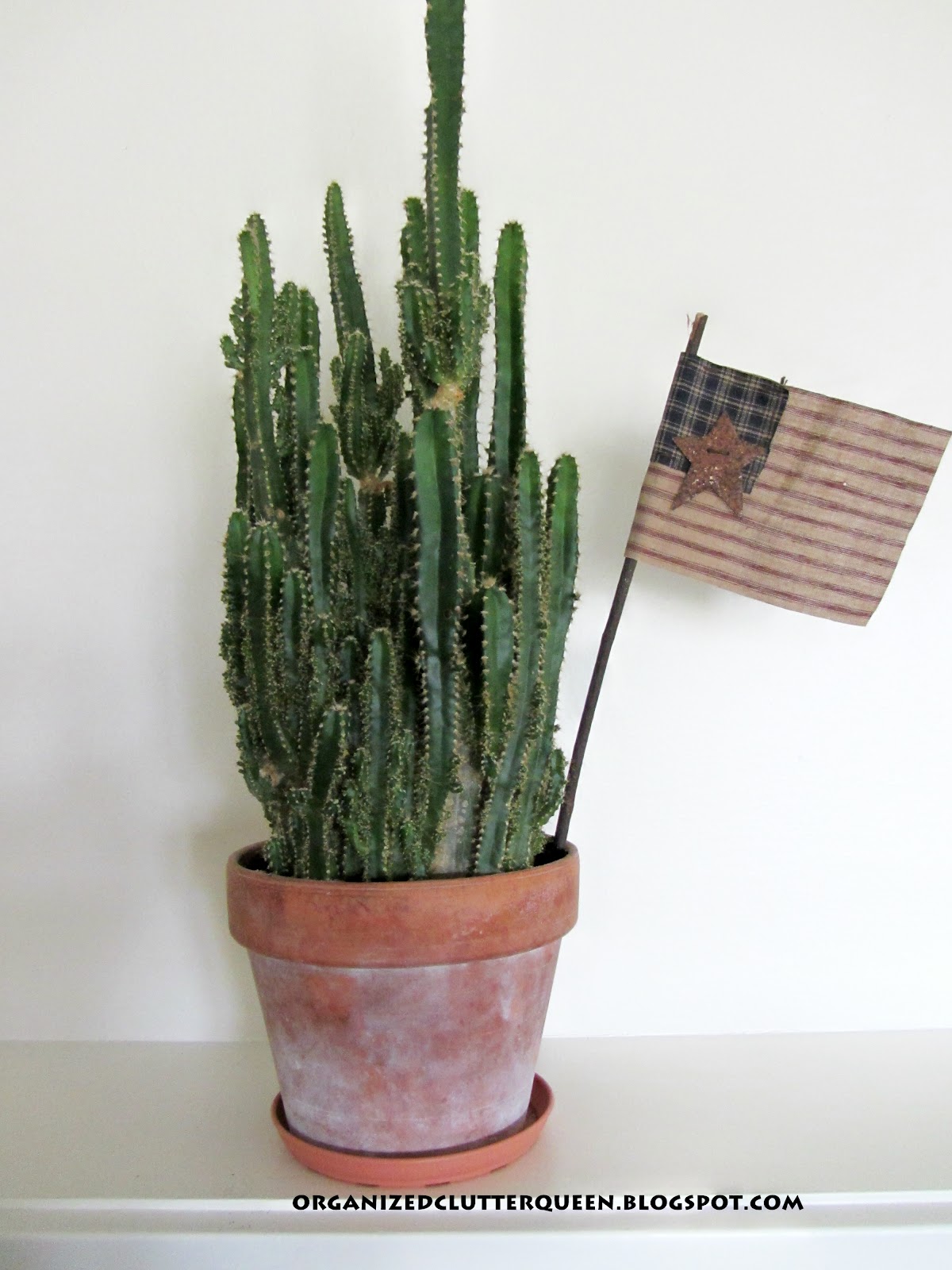 Houseplants Make a Home - Organized Clutter