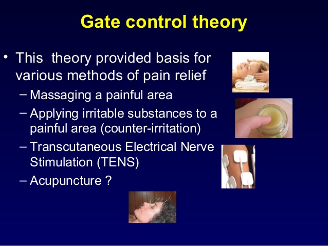 EXAMS AND ME : Gate Control Theory