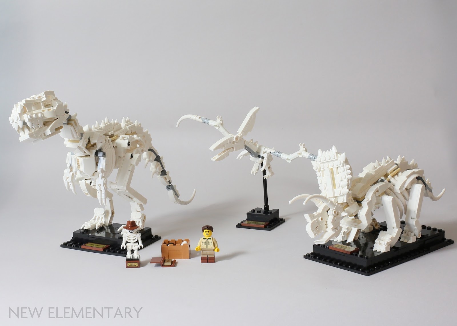 LEGO® Ideas review: 21320 Dinosaur Fossils | New Elementary: LEGO ...