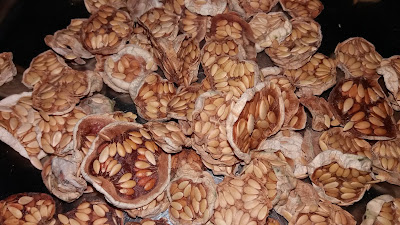 kachri matan recipes in hindi by aju p george - Indian Recipes 4 you