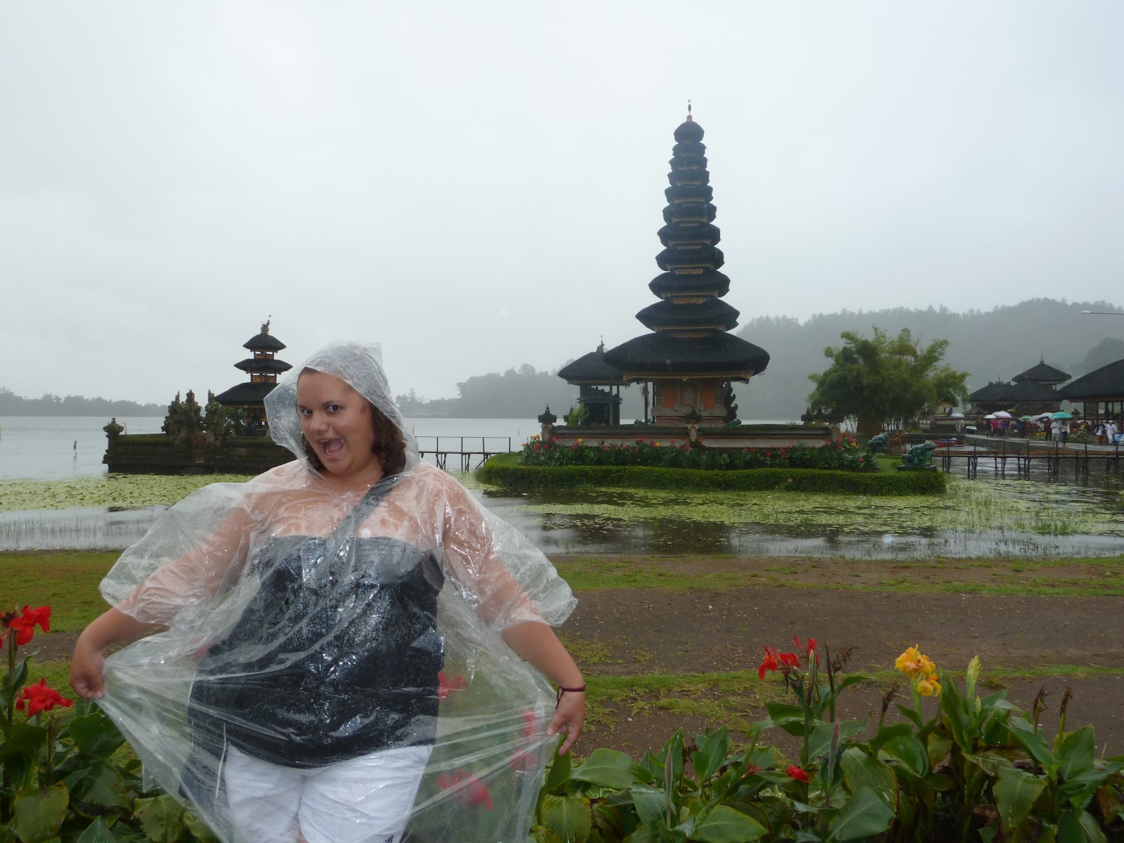 Alex around the world: 2012