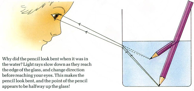Refraction of Light Experiment for Kids - What is Refraction?