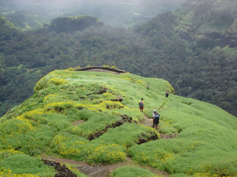 The Konkan, the Konkan Coast or Karavali, the Konkanis, the Tuluvas ...
