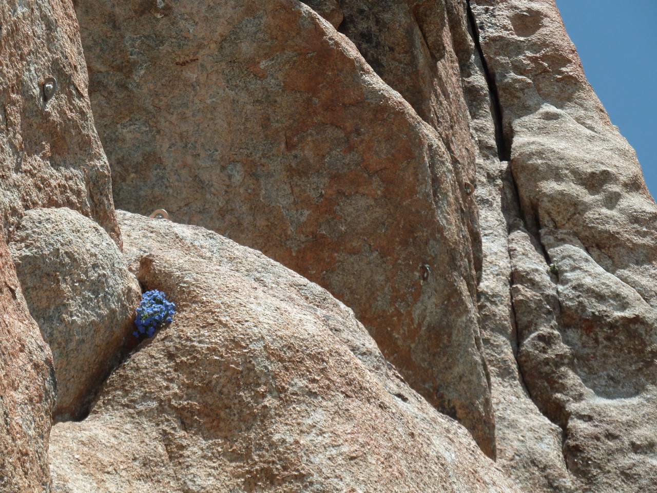 Carnet d'altitude: DIBONA - voie Madier (3131m)