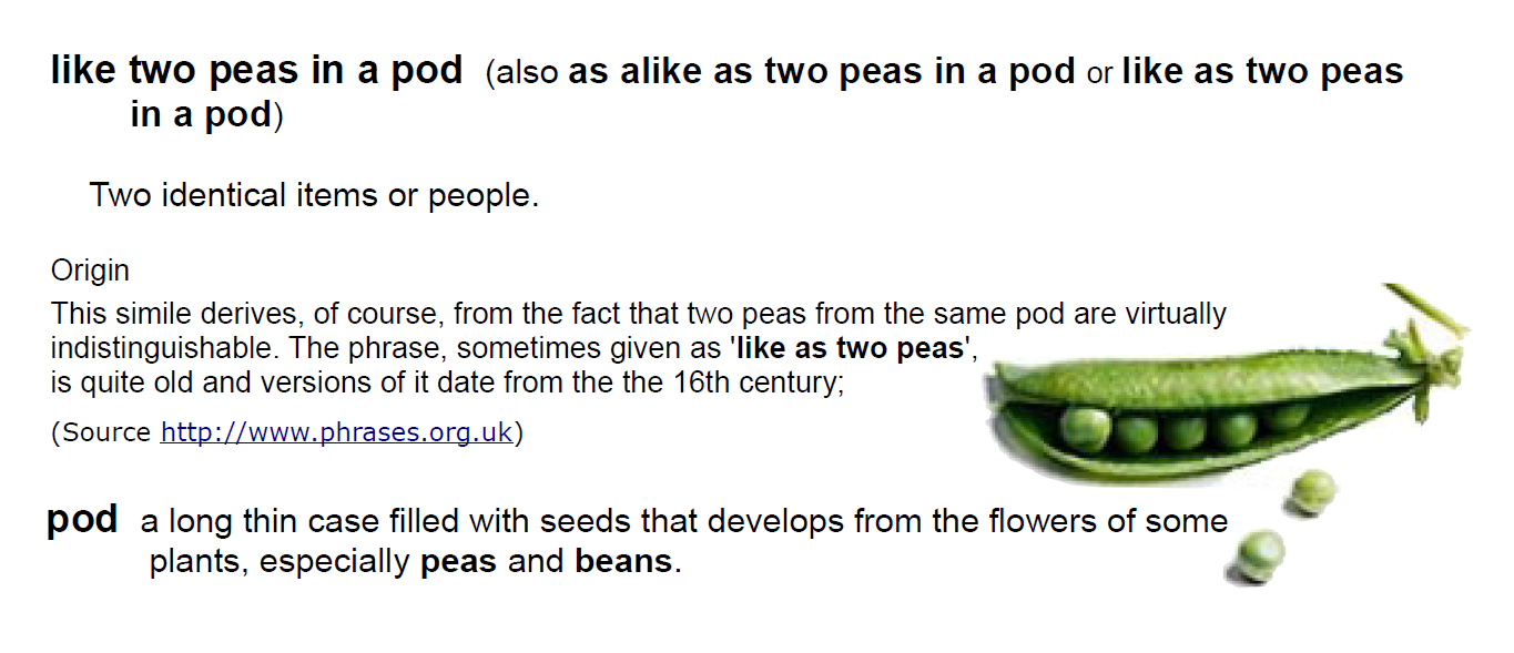 ON CLOUD NINE: LIKE TWO PEAS IN A POD