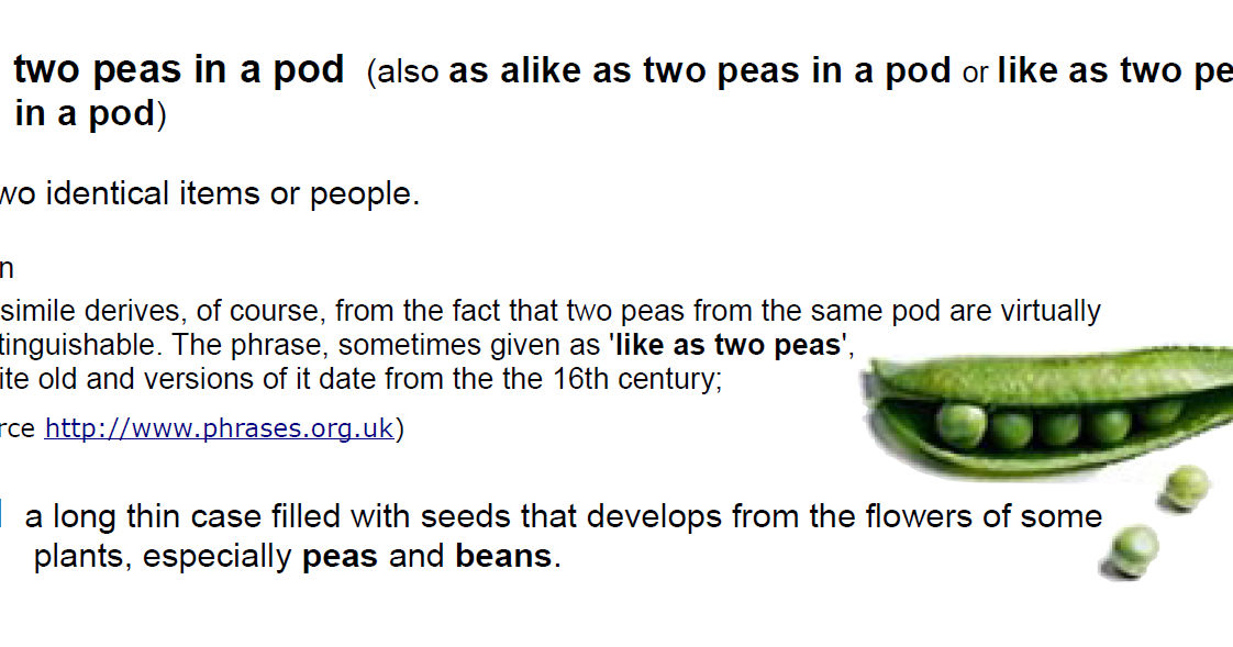 ON CLOUD NINE: LIKE TWO PEAS IN A POD