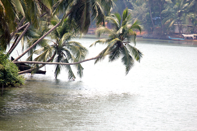 Kerala Hills: Vayalada - Balussery, Kozhikode