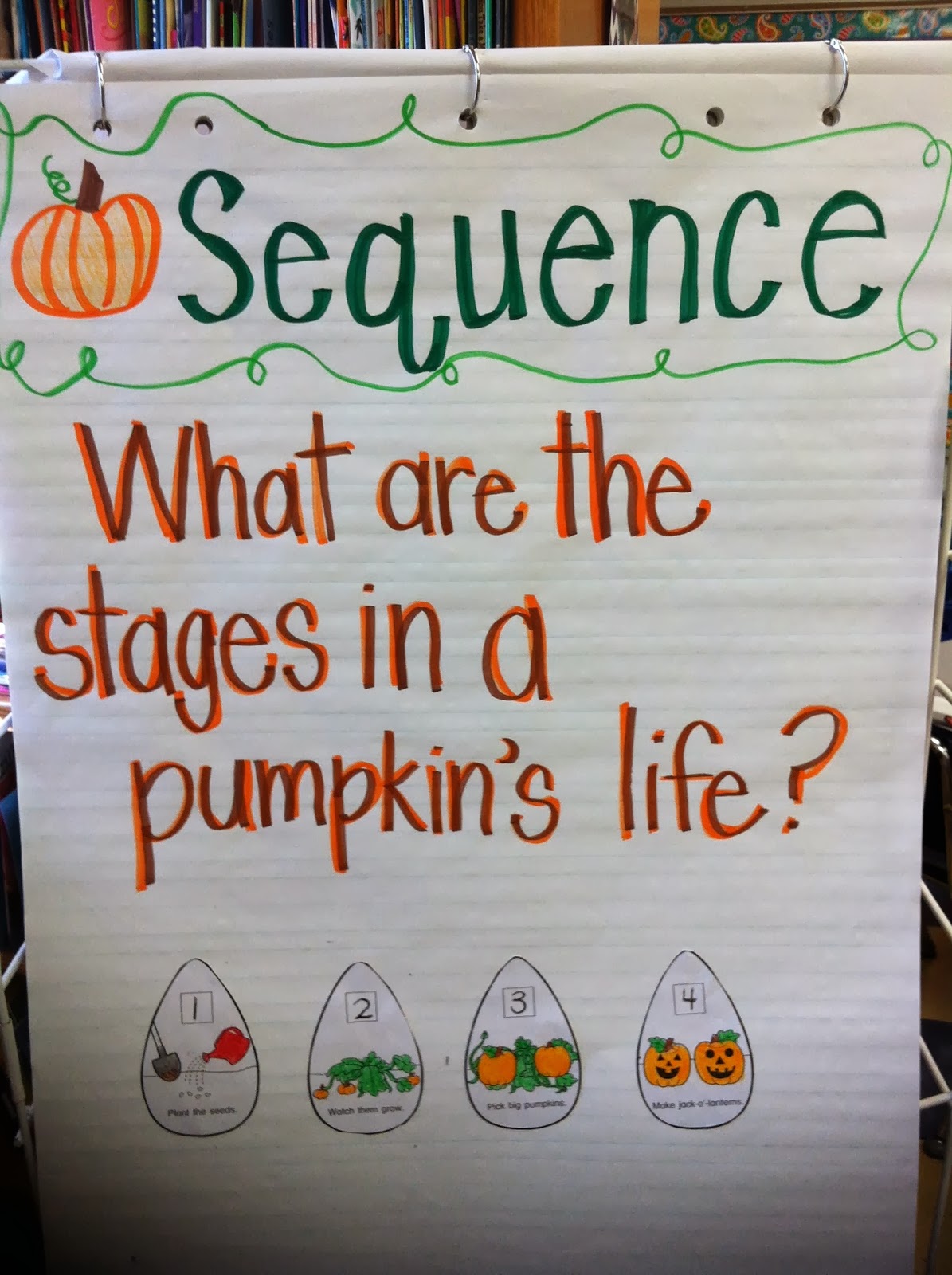 Mrs. Lowes' Kindergarten Korner: Pumpkin Palooza plus a FREEBIE!