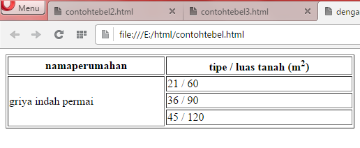 Contoh Tabel HTML | Muhammad Hamzah Affandi