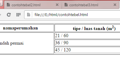 Contoh Tabel HTML | Muhammad Hamzah Affandi