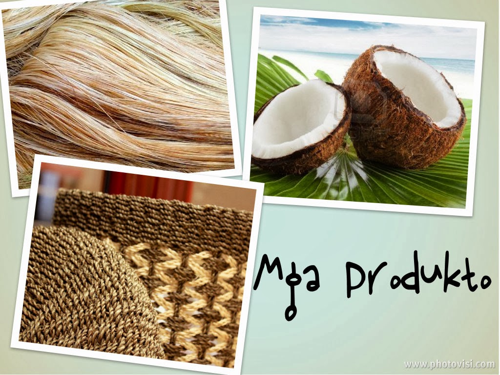 Bicol: Proyektong Panturismo: BICOL