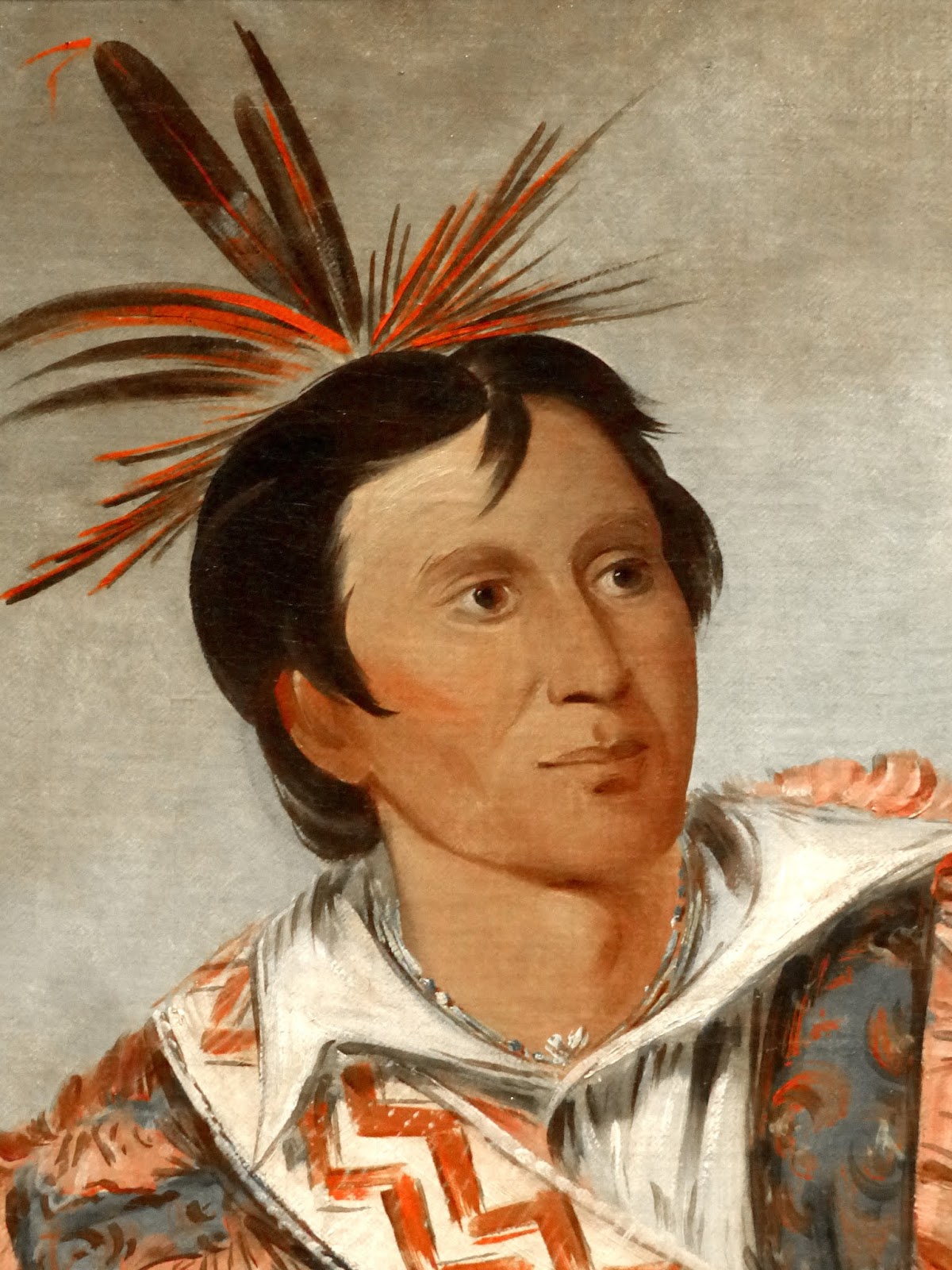 The Portrait Gallery: Há-tchoo-túc-knee, Snapping Turtle