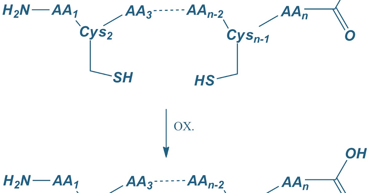 Peptide Synthesis: Cyclic Peptides