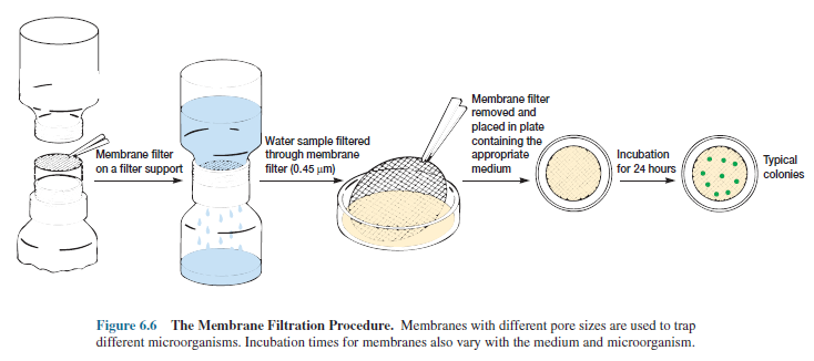 Microbiology Notes: Microbial Growth : Bacterial Growth Curve