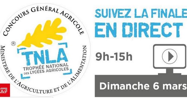 Suivez la finale du TNLA en direct ! | TNLA 2016 Ouest Blonde Story