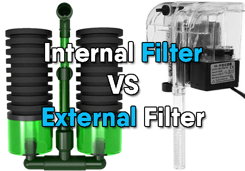 Internal Filter v External Filter
