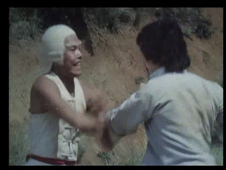 SHAOLIN'S BORN INVINCIBLE a.k.a BORN INVINCIBLE