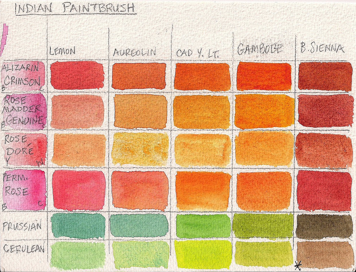 She Must Make Art : Indian Paintbrush