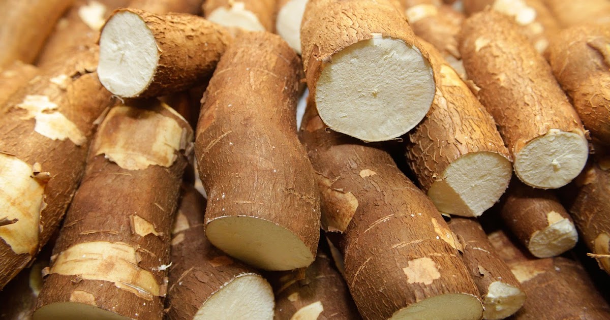 A DIOS GRACIAS POR CREAR LA YUCA.