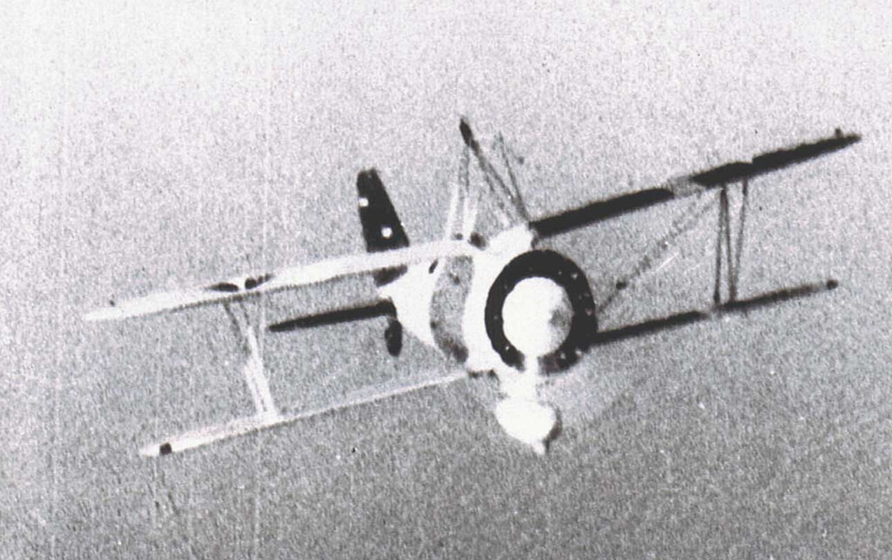 nhungdoicanh: Curtiss F9C Sparrowhawk