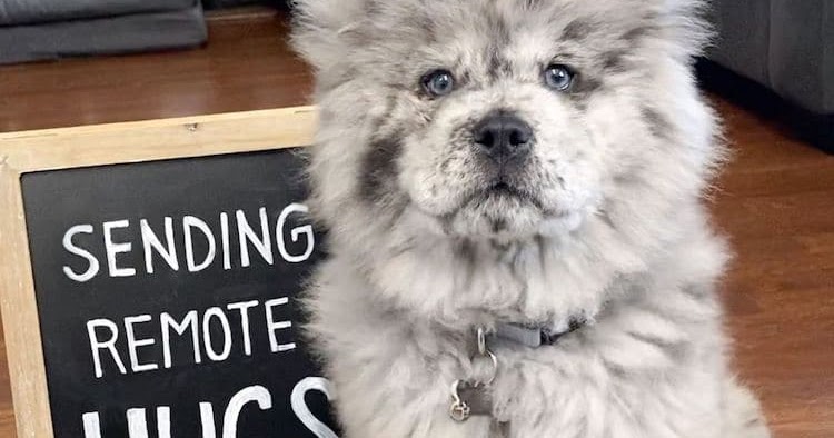 Slavenka & Obi: Oreo Cloud