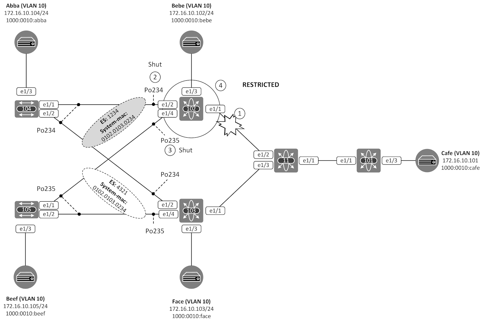 The Network Times: EVPN ESI Multihoming Part III: Data Flows and link ...