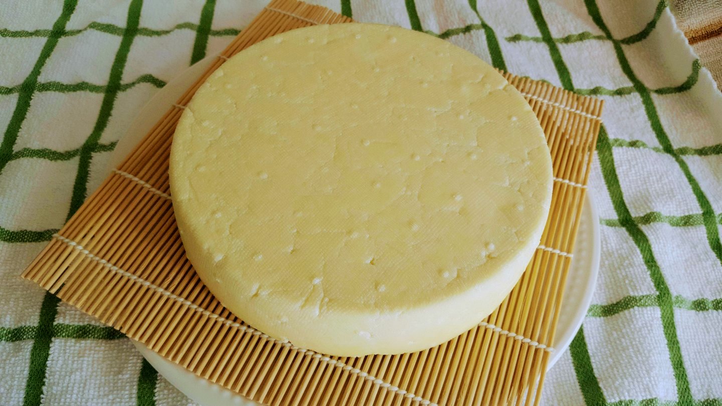 RAINY DAY CHEESE MAKING: Homemade Cheese Press