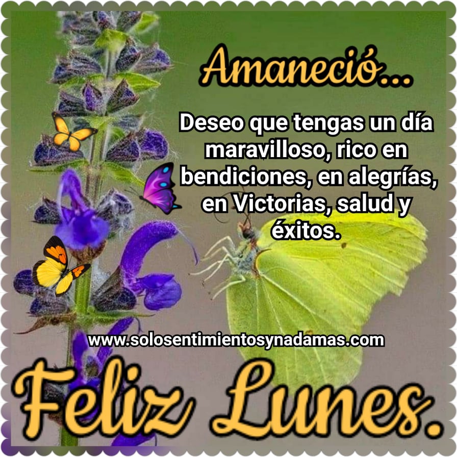 Amaneció… Deseo que tengas un día maravilloso. - Solo sentimientos y ...