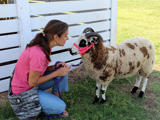 Finished First "Sheep to Shawl"