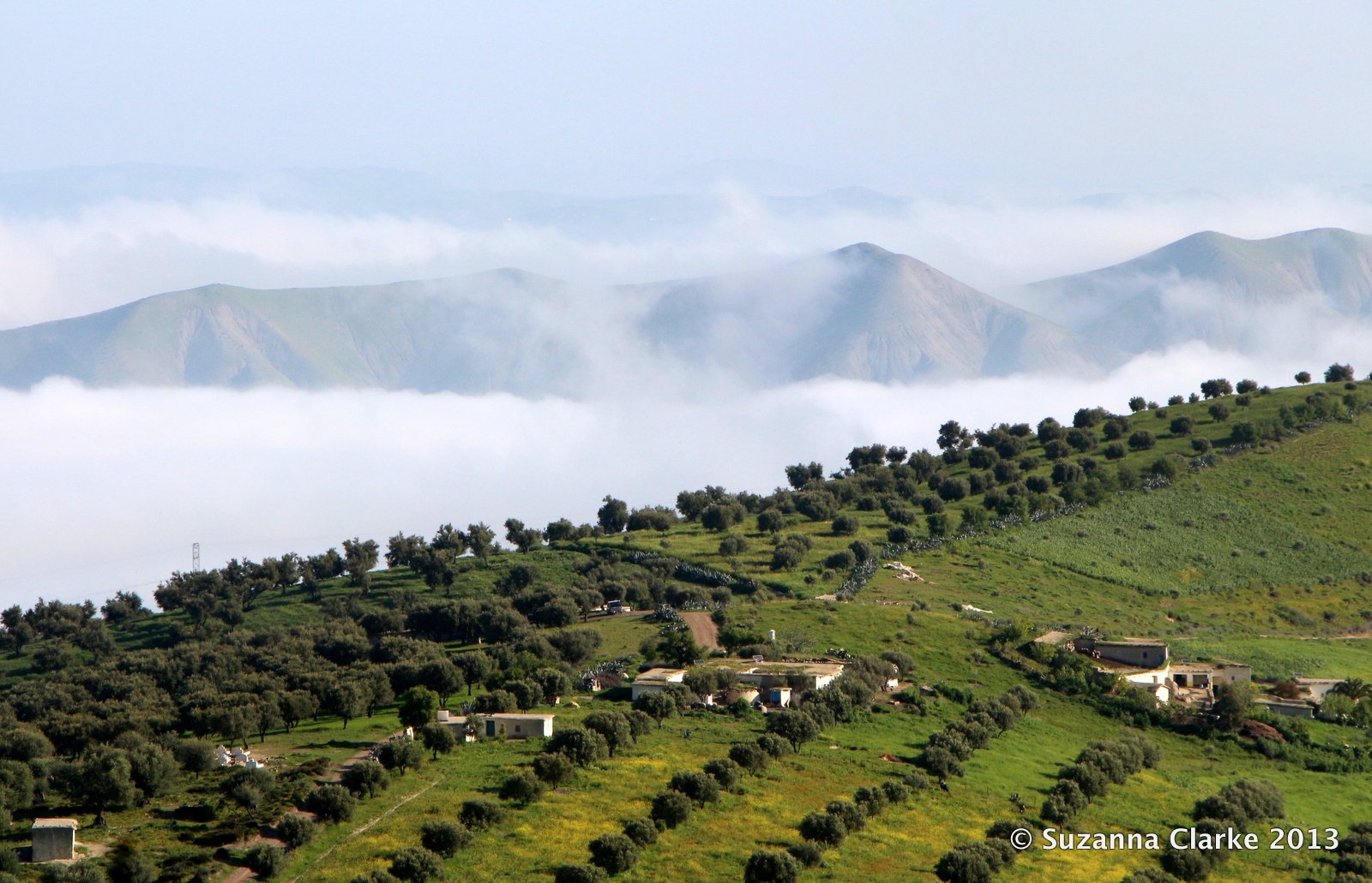 THE VIEW FROM FEZ: Horsing Around Fez ~ A Photo Essay
