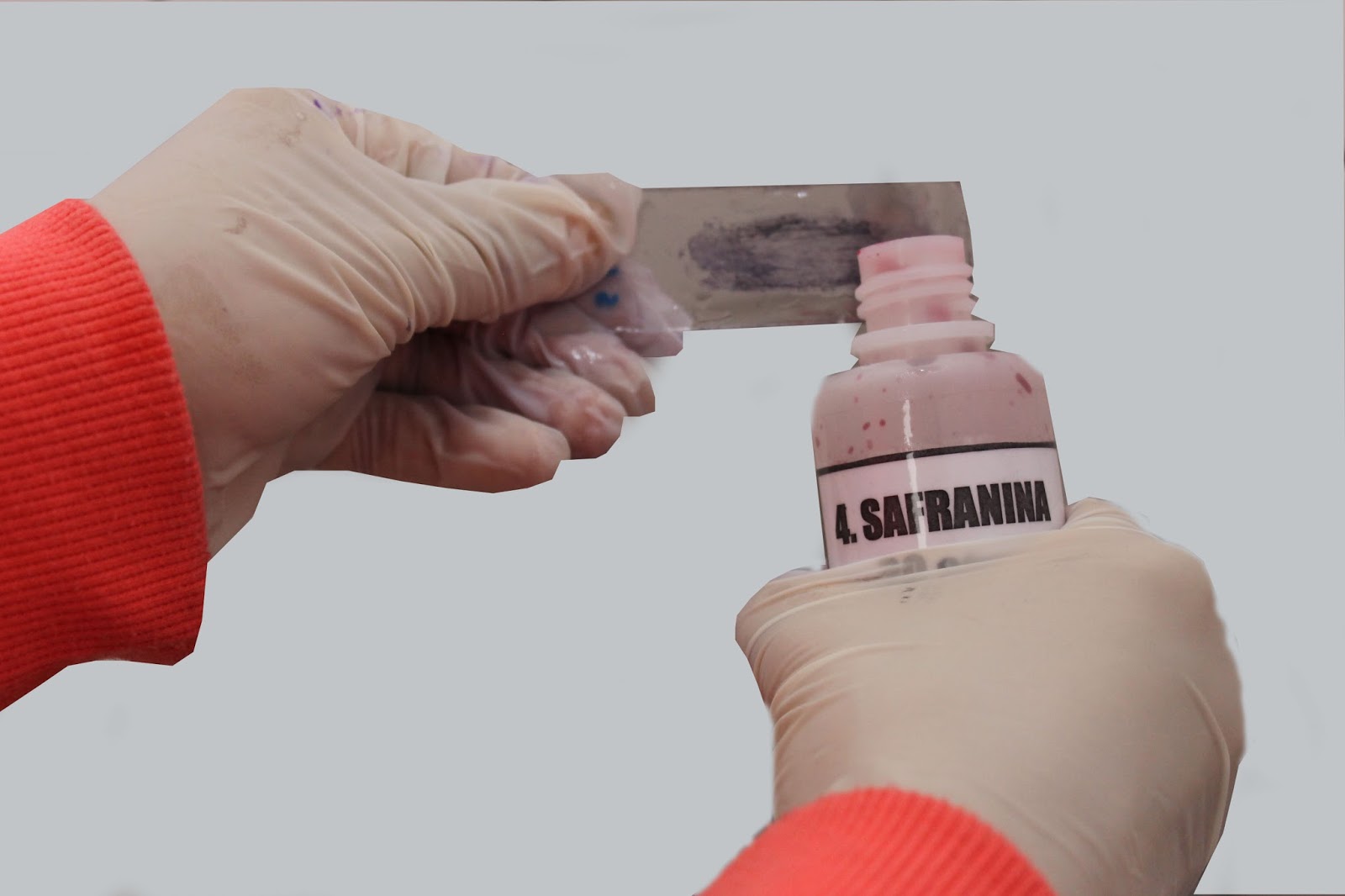 Medios de Cultivo y Coloración de Gram | Universidad Metropolitana ...