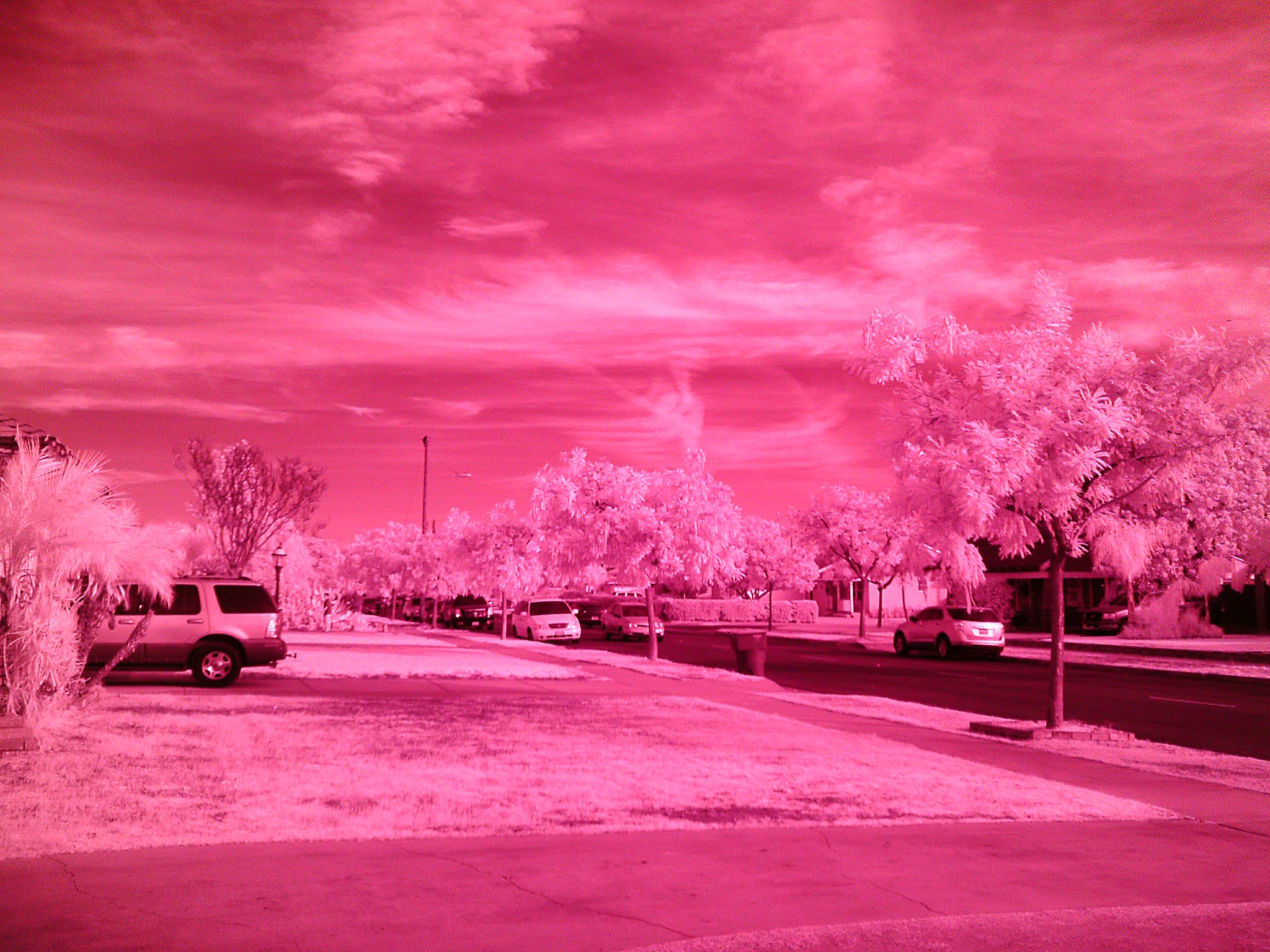 Digital Infrared Photography: Black & White vs Color Infrared.