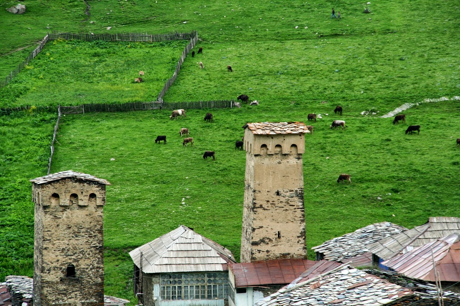 solitary dog sculptor: 10/16/13