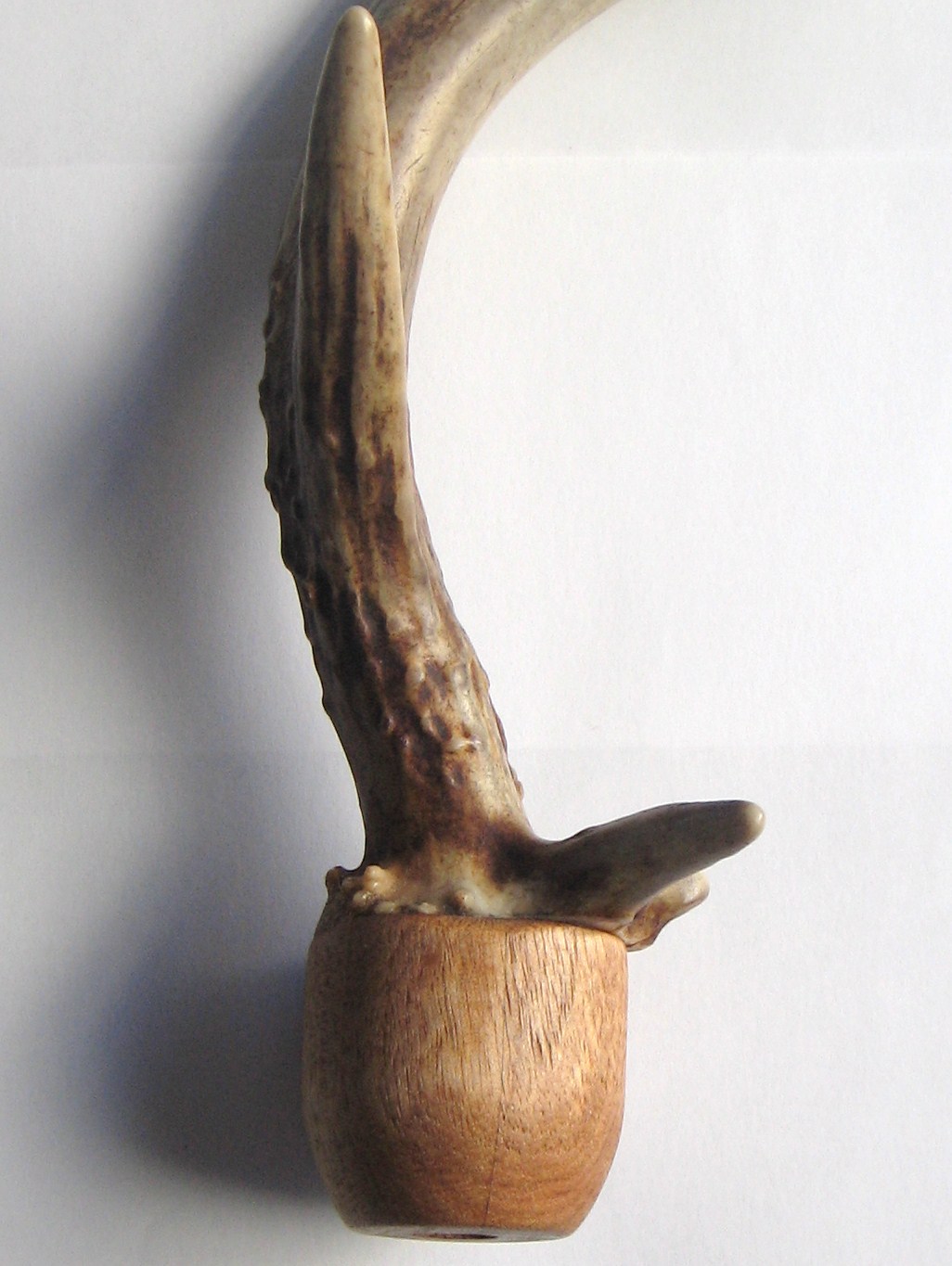The Antler Tap Handle Shop: White-tailer Deer Antler Tap Handle