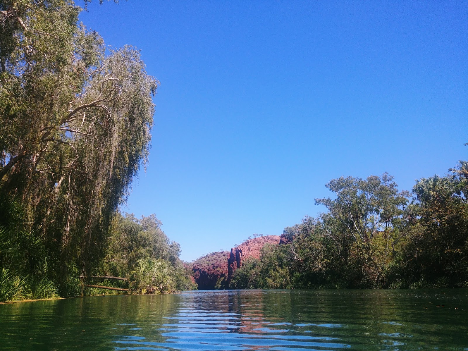 The Roaming 5: Sep 3-7 (Day 216-219) - Leichhardt River to Gregory via ...