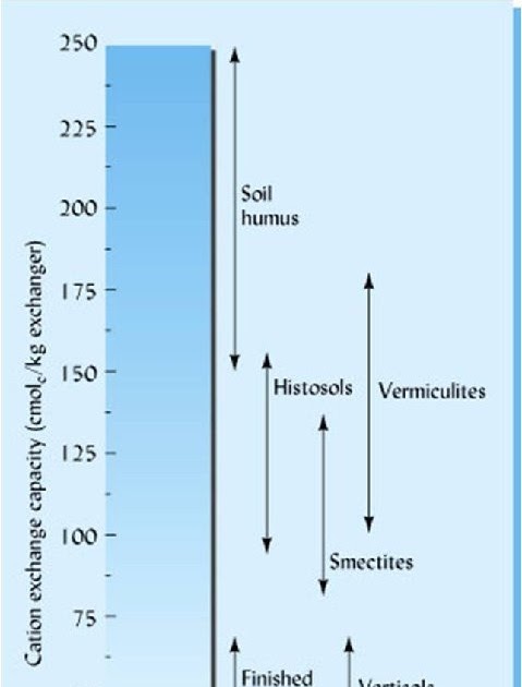 Understanding Biochar